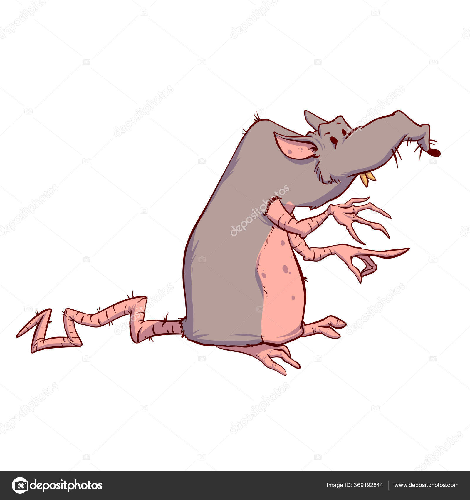 Colorful Vector Illustration Big Fat Drity Rat Stock Vector Image by ...
