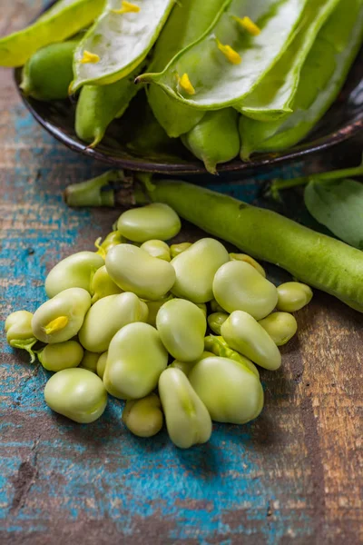 Legumbres frescas saludables, nueva cosecha en habas blancas de lima ...