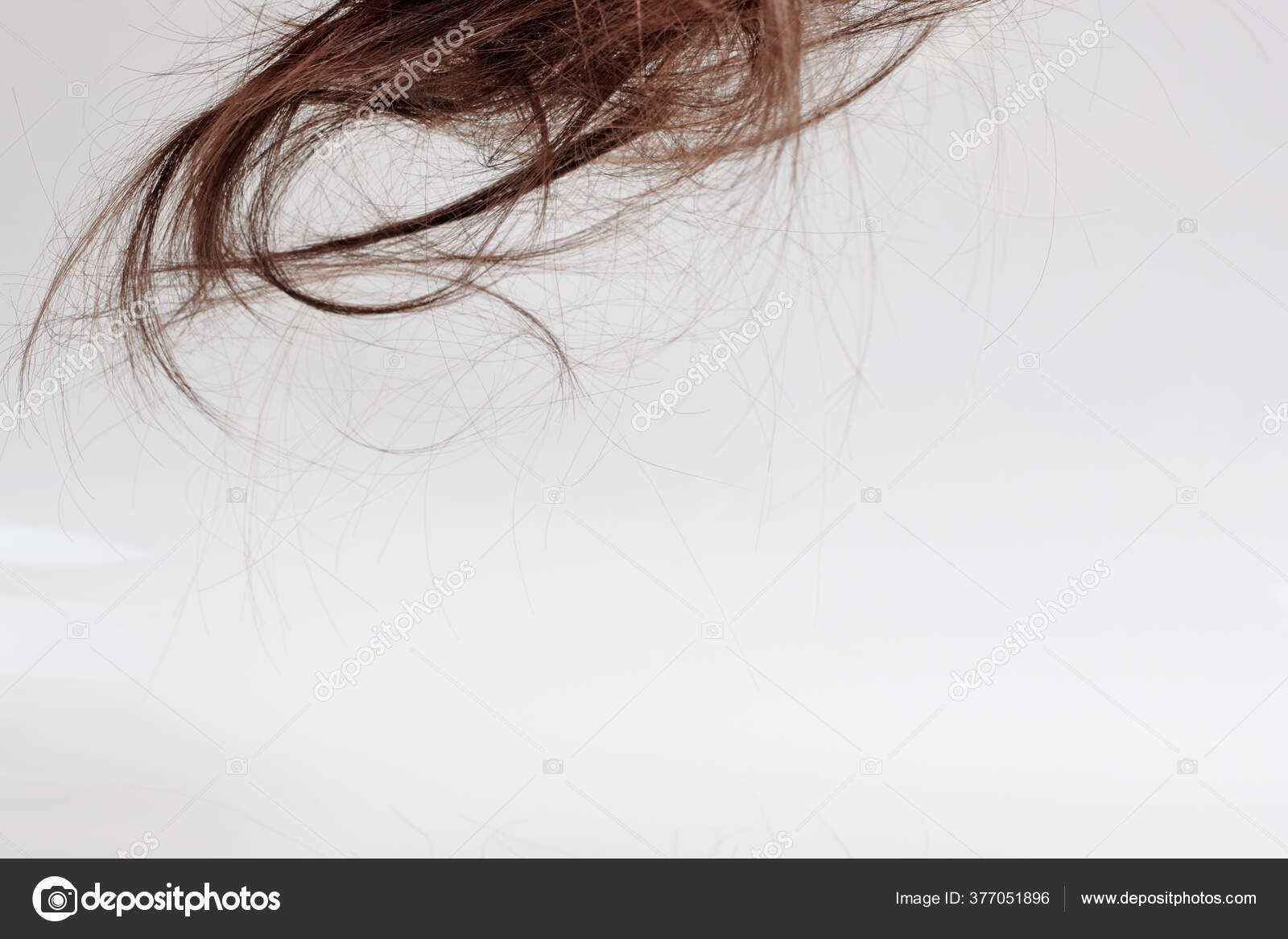 Tuft On Head Of Hair