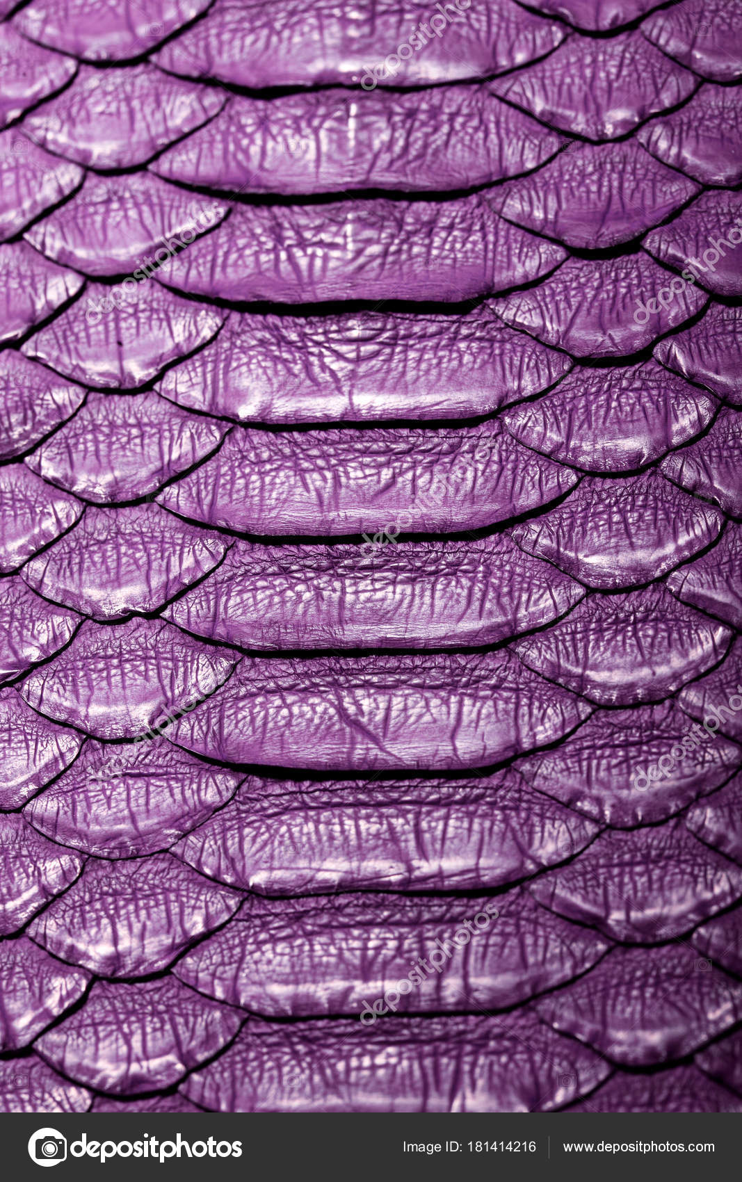 Papel De Parede De Impressao Python Python Wallpaper Stock