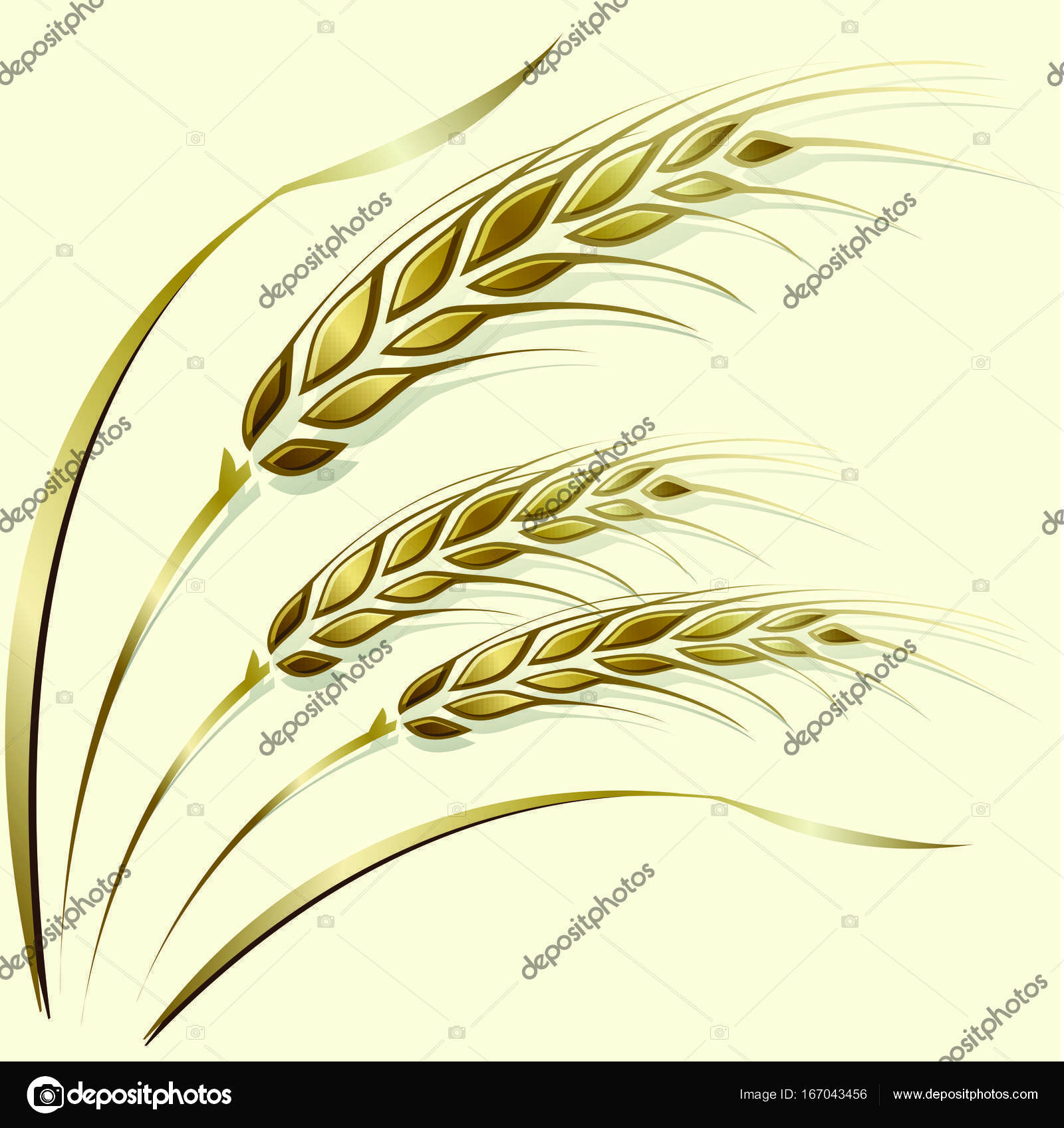 Kerangka telinga gandum, batas atau elemen sudut . Vektor Stok oleh ...