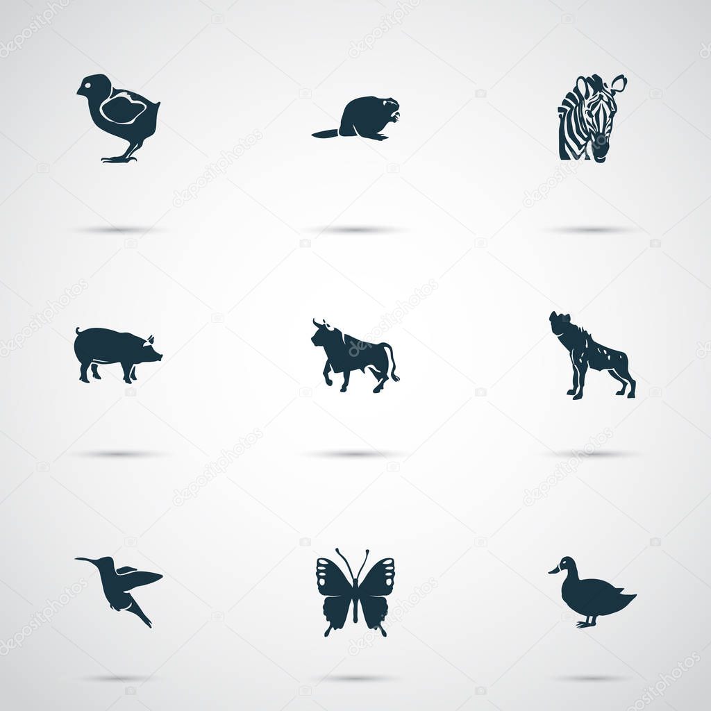 Conjunto de iconos de fauna con toro, hiena, cebra y otros elementos ... Conjunto de iconos de fauna con toro, hiena, cebra y otros elementos ...