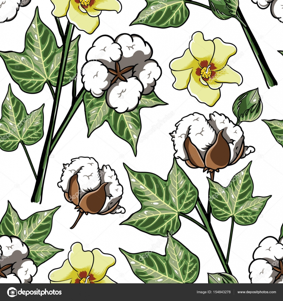 Cotton plant seamless pattern white background Stock Vector by ...