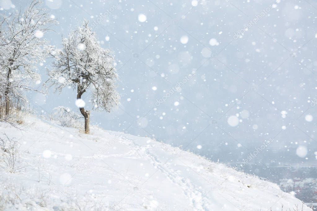 Heavy snowfall in park Stock Photo by ©Scharfsinn 129462672