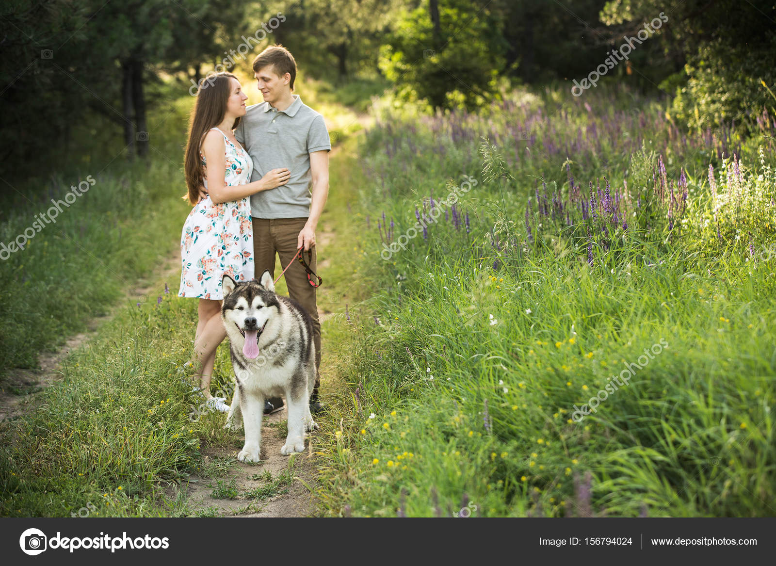 Dog Couple Wallpaper