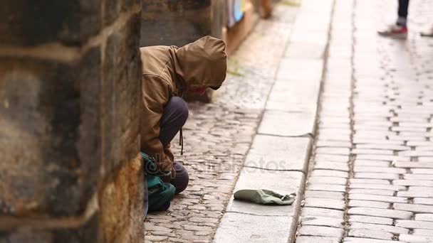 Begging Stock Videos, Royalty Free Begging Footages | Depositphotos®