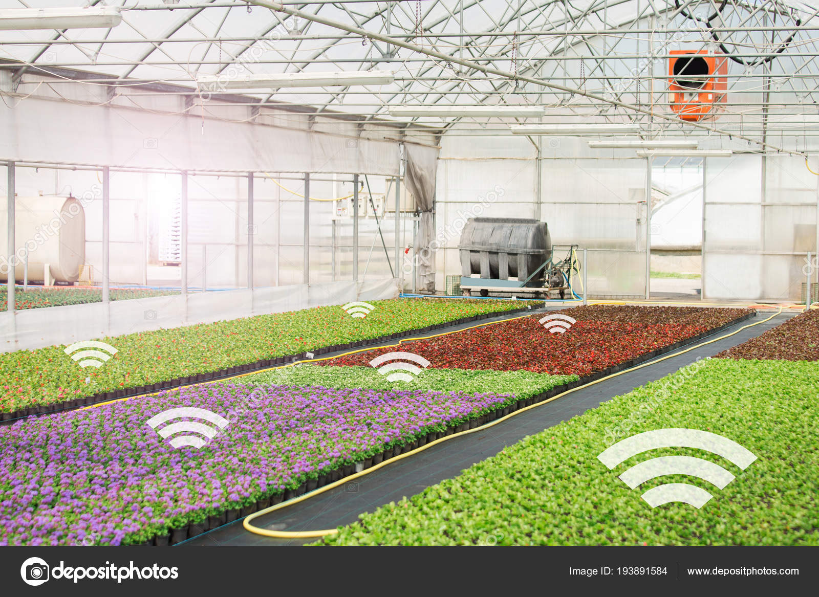 Automated Greenhouse Controls Appvales Automated Greenhouse