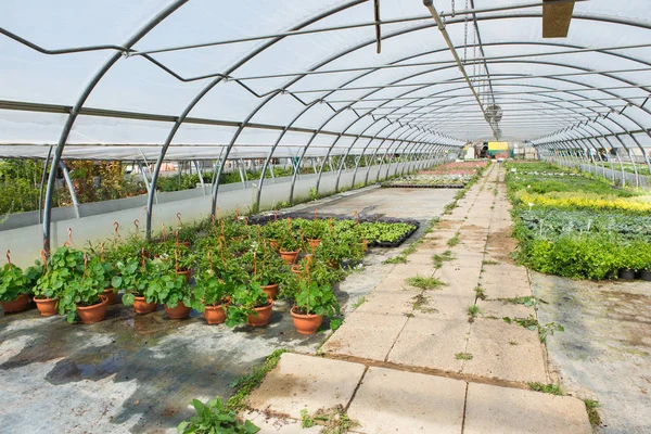 Smart greenhouse Stock Photos, Royalty Free Smart greenhouse Images | Depositphotos