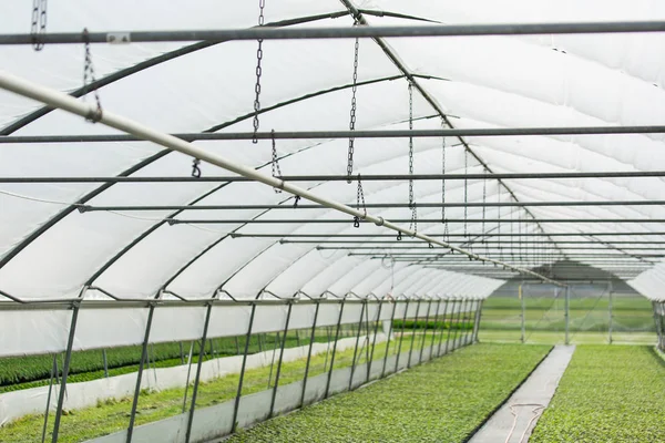 Smart greenhouse Stock Photos, Royalty Free Smart greenhouse Images | Depositphotos