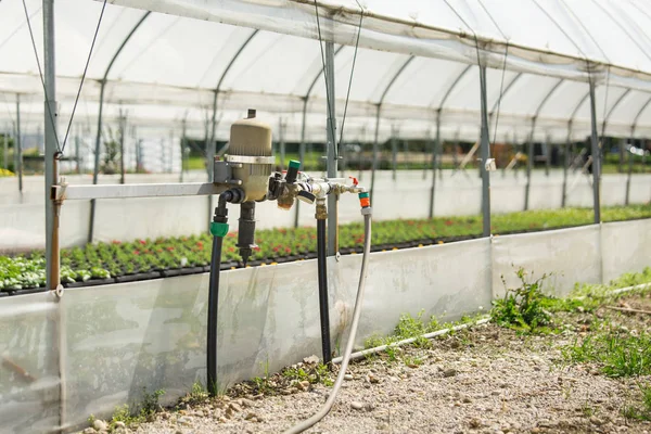 Smart greenhouse Stock Photos, Royalty Free Smart greenhouse Images | Depositphotos