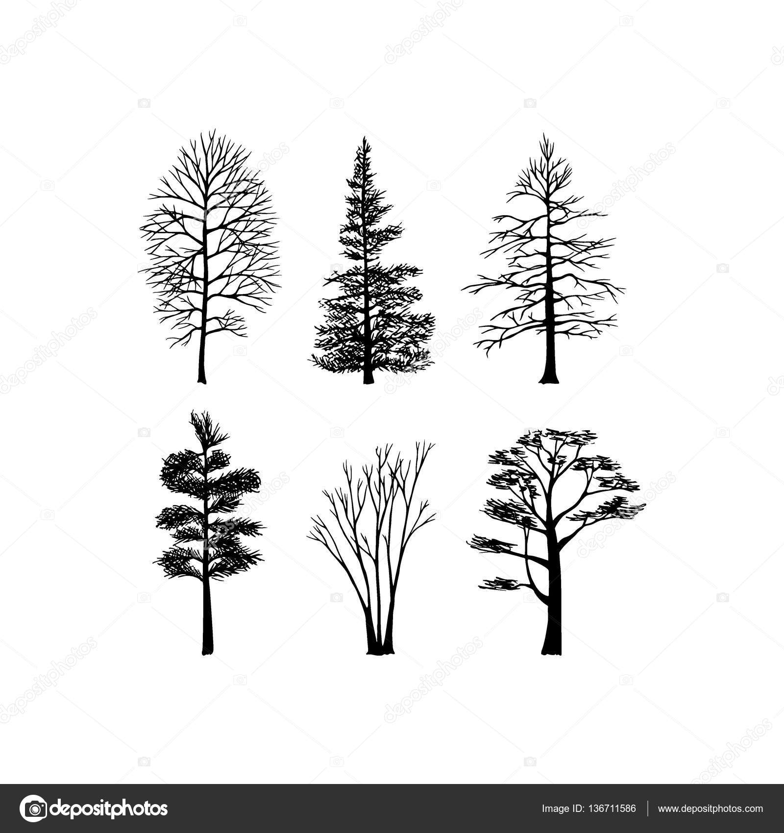 Hand drawn trees Stock Vector by ©Ezhevica 136711586