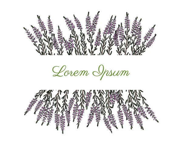 Erica Vector Images, Royalty-free Erica Vectors | Depositphotos®