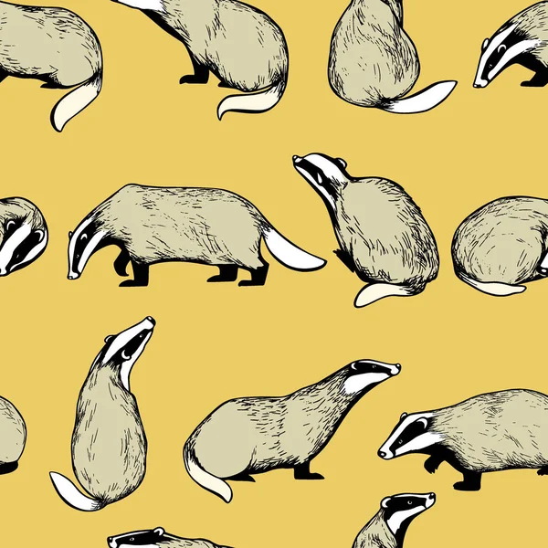 ᐈ Badger wallpaper stock pictures, Royalty Free badgers images ...