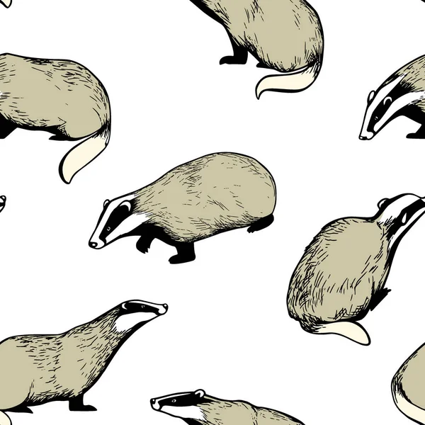 ᐈ Badger wallpaper stock pictures, Royalty Free badgers images ...