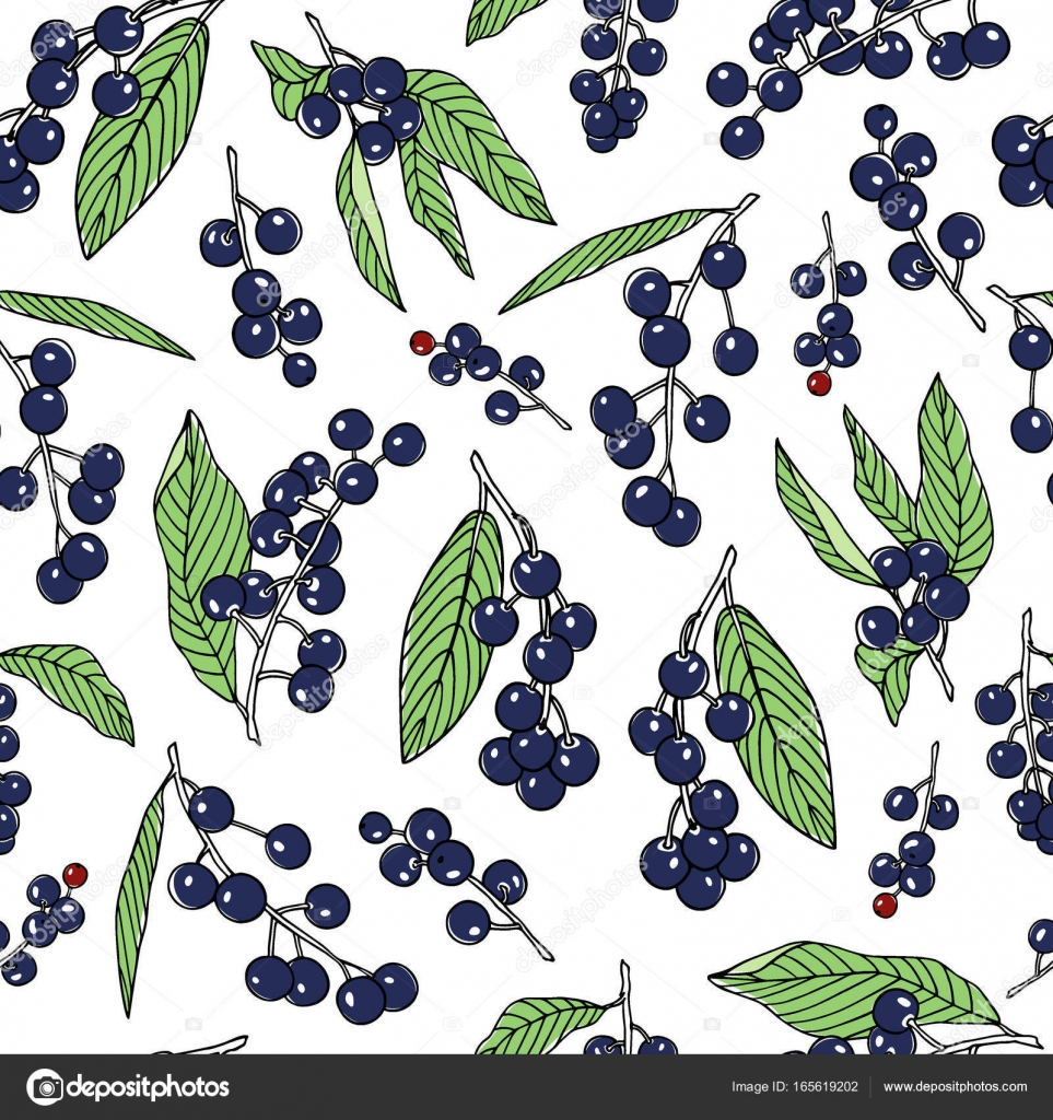 Hand drawn bird cherry pattern Stock Vector by ©Ezhevica 165619202