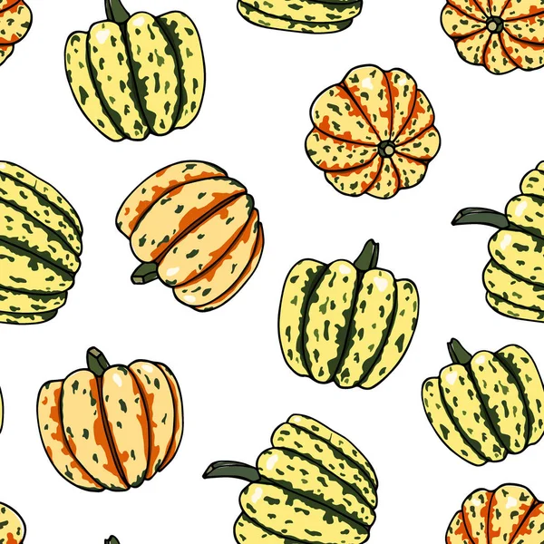 Carnival squash Vector Art Stock Images | Depositphotos
