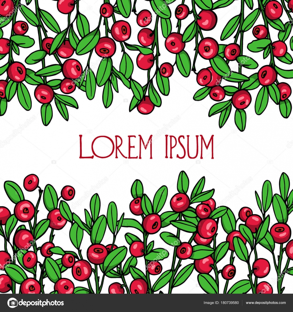 "Клюква рисунок для детей"