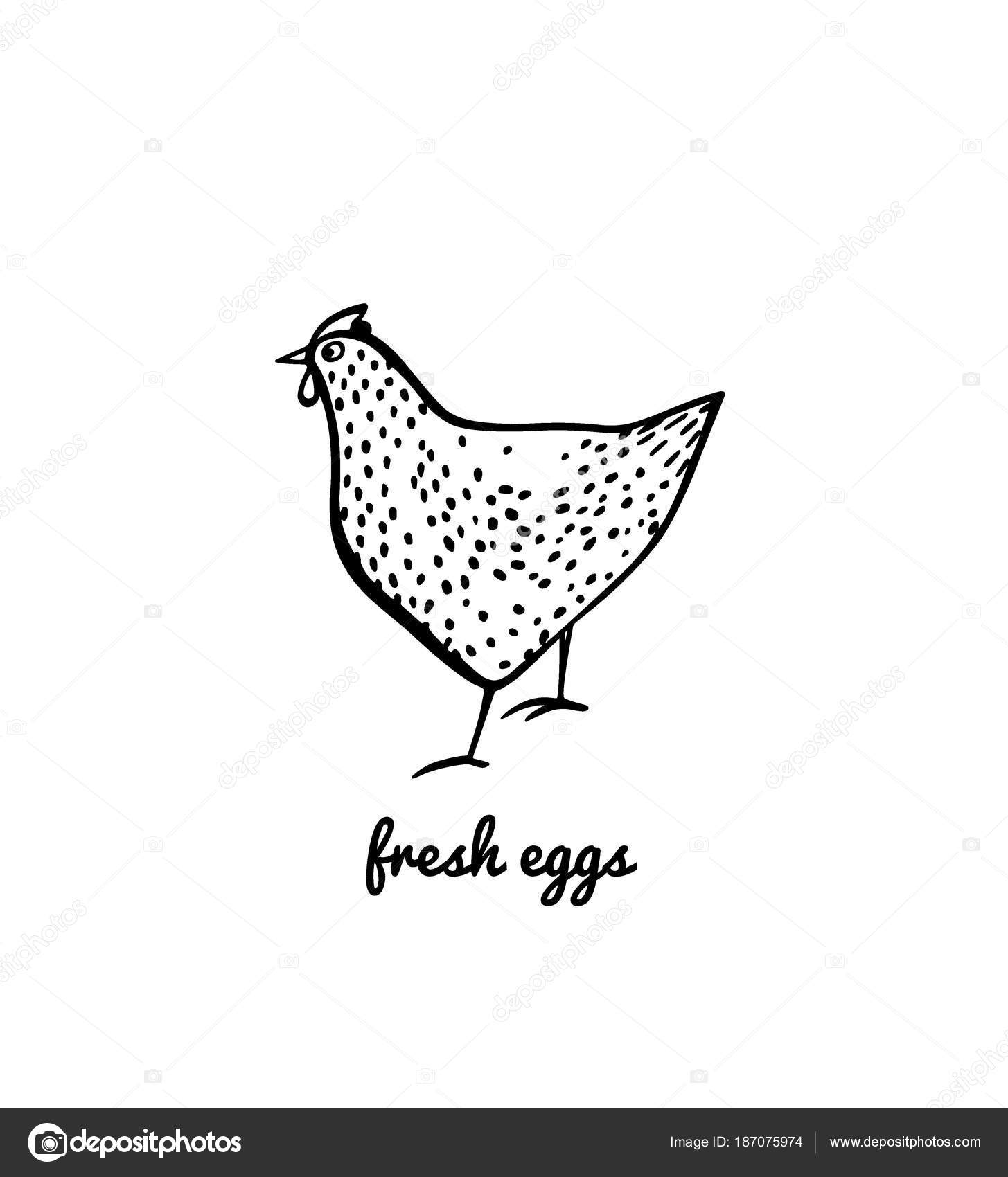 Hand drawn chicken Stock Vector Image by ©Ezhevica #187075974