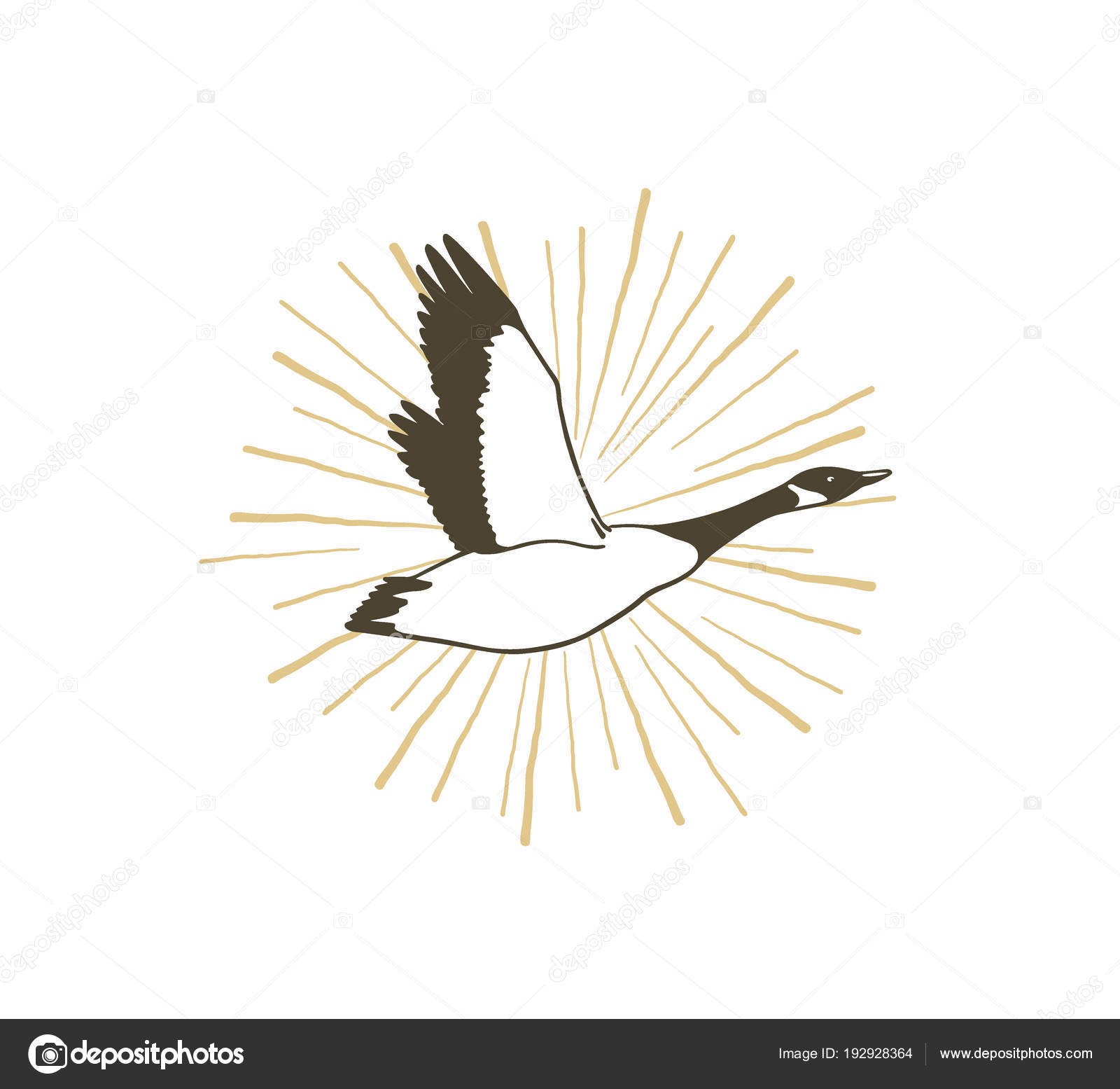 Hand drawn goose emblem Stock Vector by ©Ezhevica 192928364