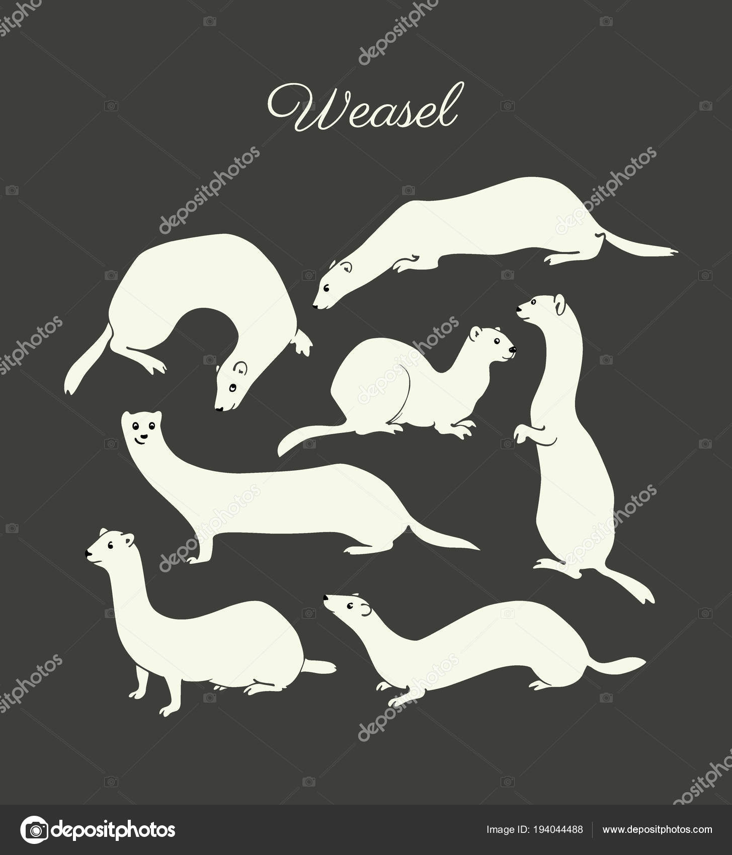 Hand drawn weasel Stock Vector Image by ©Ezhevica #194044488