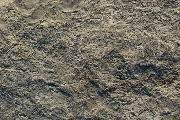 Prehistoric landscape Stock Photos, Royalty Free Prehistoric landscape ...