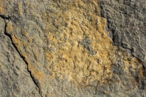 Yellow rock texture Stock Photos, Royalty Free Yellow rock texture ...