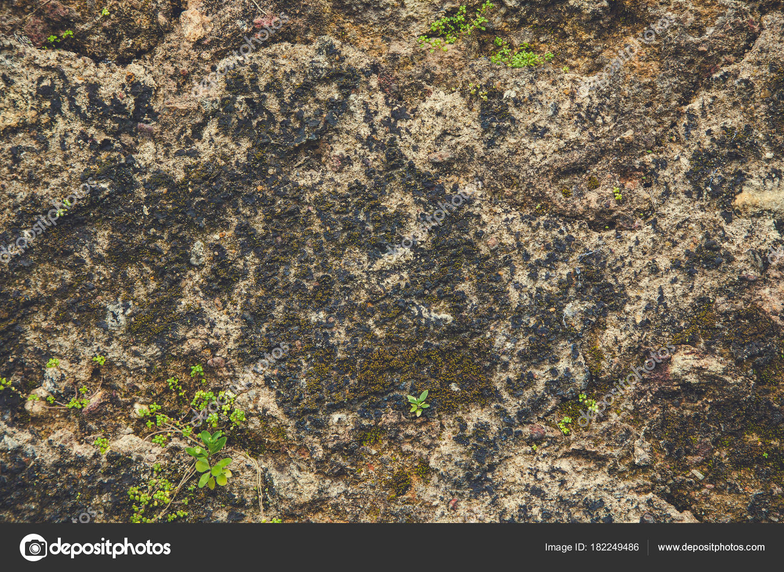 Stone or rock background and texture, natural stone. Stone backg ...