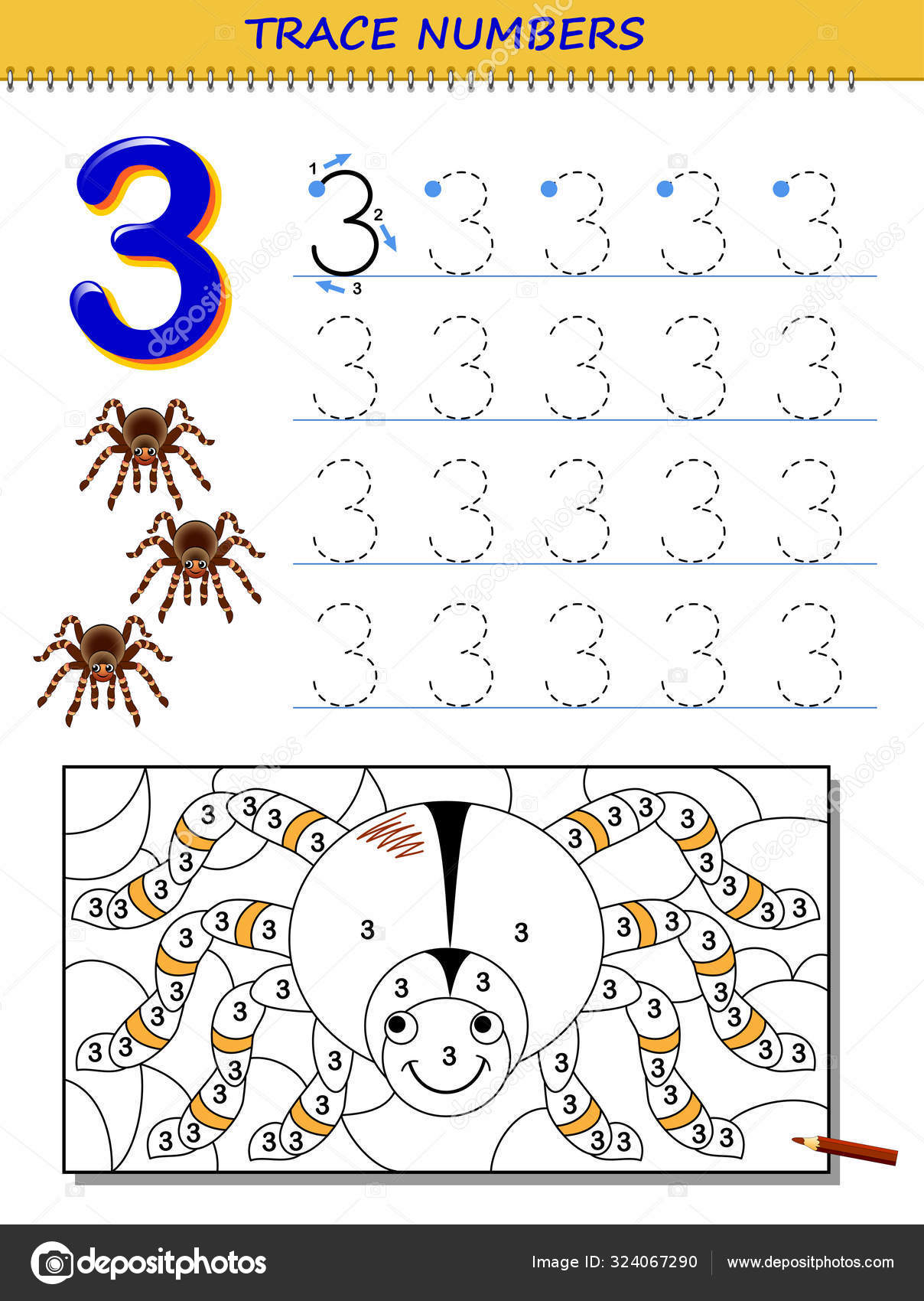 Hojas De Trabajo Del Libro De Números