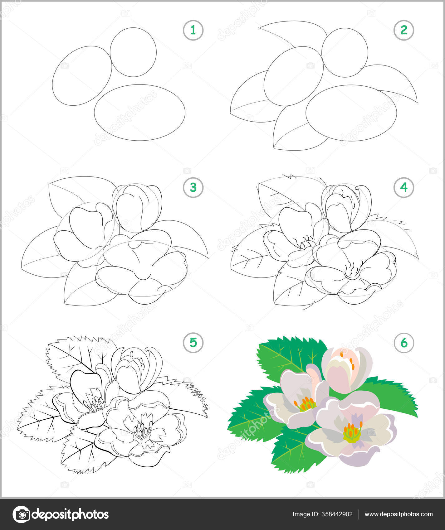 Comment Dessiner Une Fleur Pour Les Enfants Facilement Images De