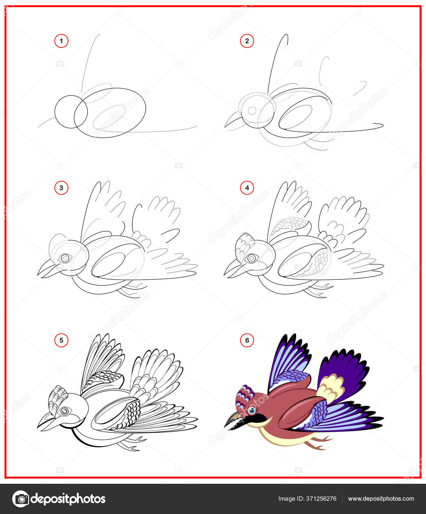 Comment Dessiner Un Oiseau Pour Les Enfants Dessin Facile Pigeon