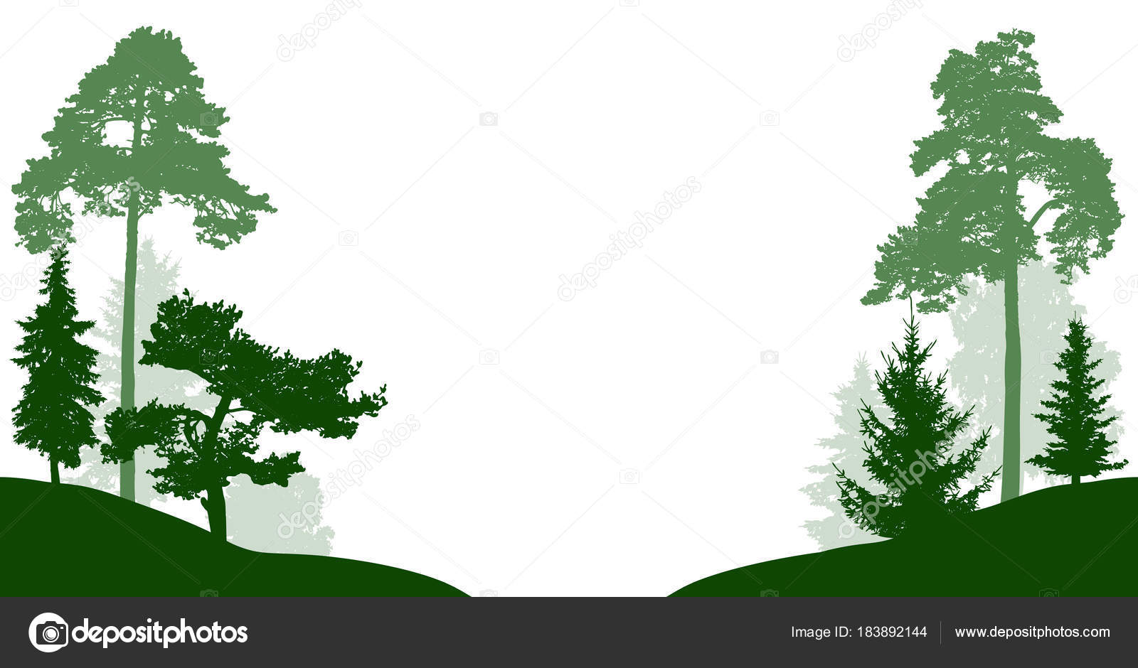 Forest Trees Vector