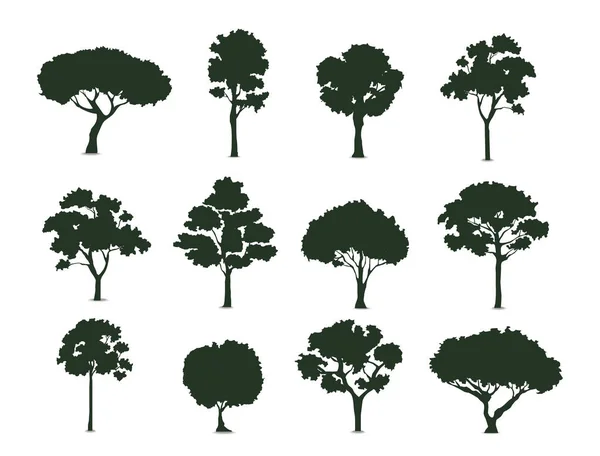 21,350 Simple tree silhouette Vector Images | Depositphotos