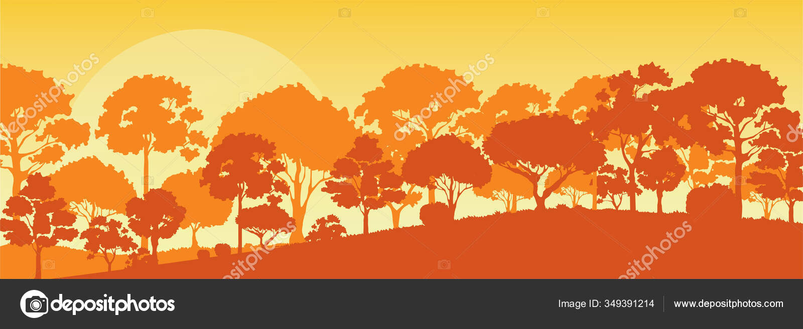 Forest Trees Silhouettes Nature Landscape Background Vector ...
