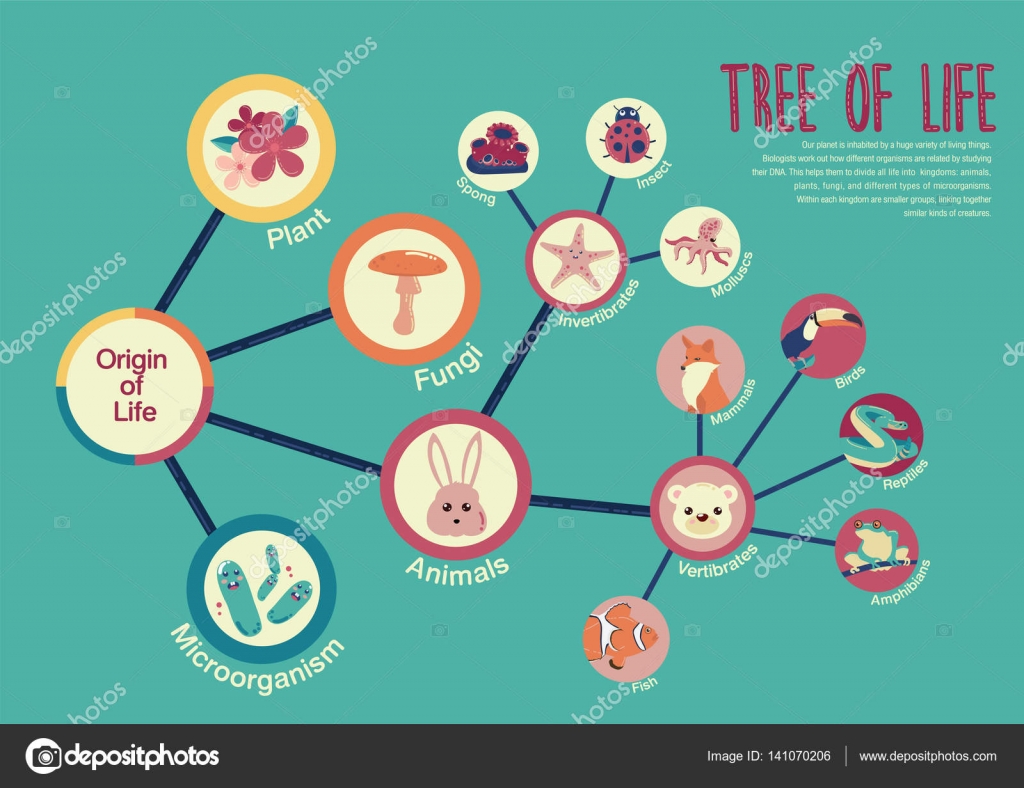 Tree of life Stock Vector Image by ©pui2motif.gmail.com #141070206