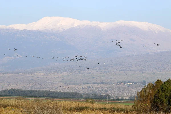 Golan mount Stock Photos, Royalty Free Golan mount Images | Depositphotos