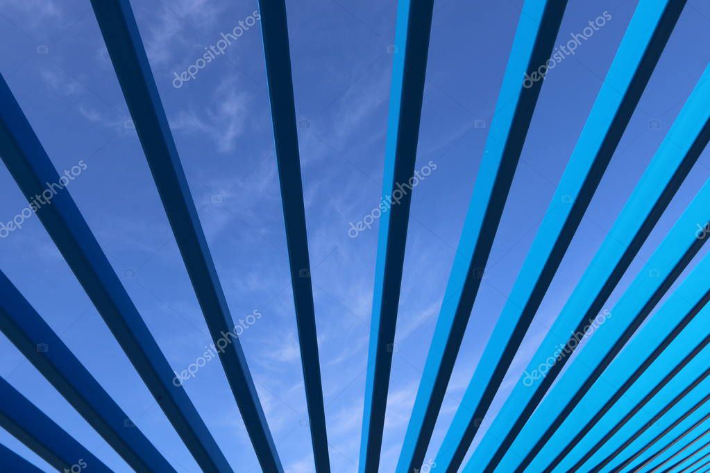 Parallel Lines In Nature