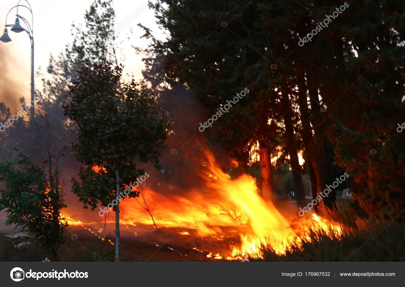 Fire Main Phase Combustion Process Has Property Self Propagation ...