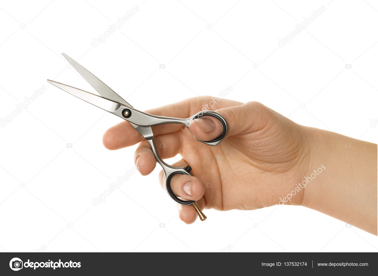 Hand Shears