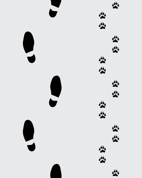 Stopa lišky stock fotografie, royalty free Stopa lišky obrázky ...