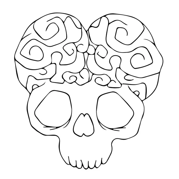 Alien Skulls With Brain