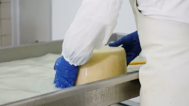 1,180 Mold cheese Videos, Royalty-free Stock Mold cheese Footage ...