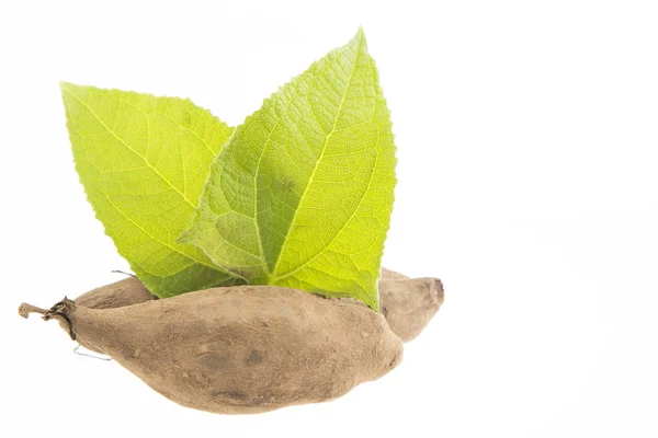 Yacon Stock Photos, Royalty Free Yacon Images | Depositphotos