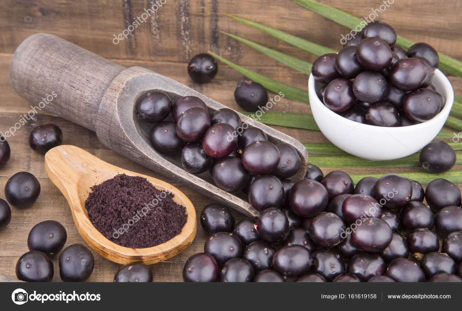 The amazon acai fruit (Euterpe oleracea) Stock Photo by ...