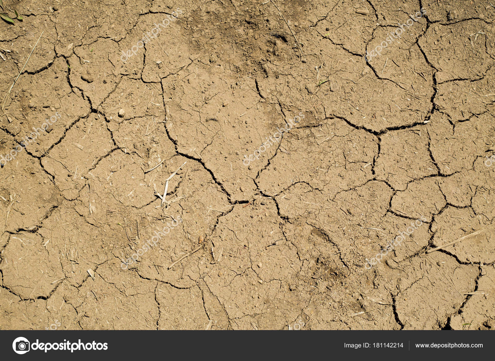 Arid Ground Background Texture — Stock Photo © Luisecheverriurrea ...