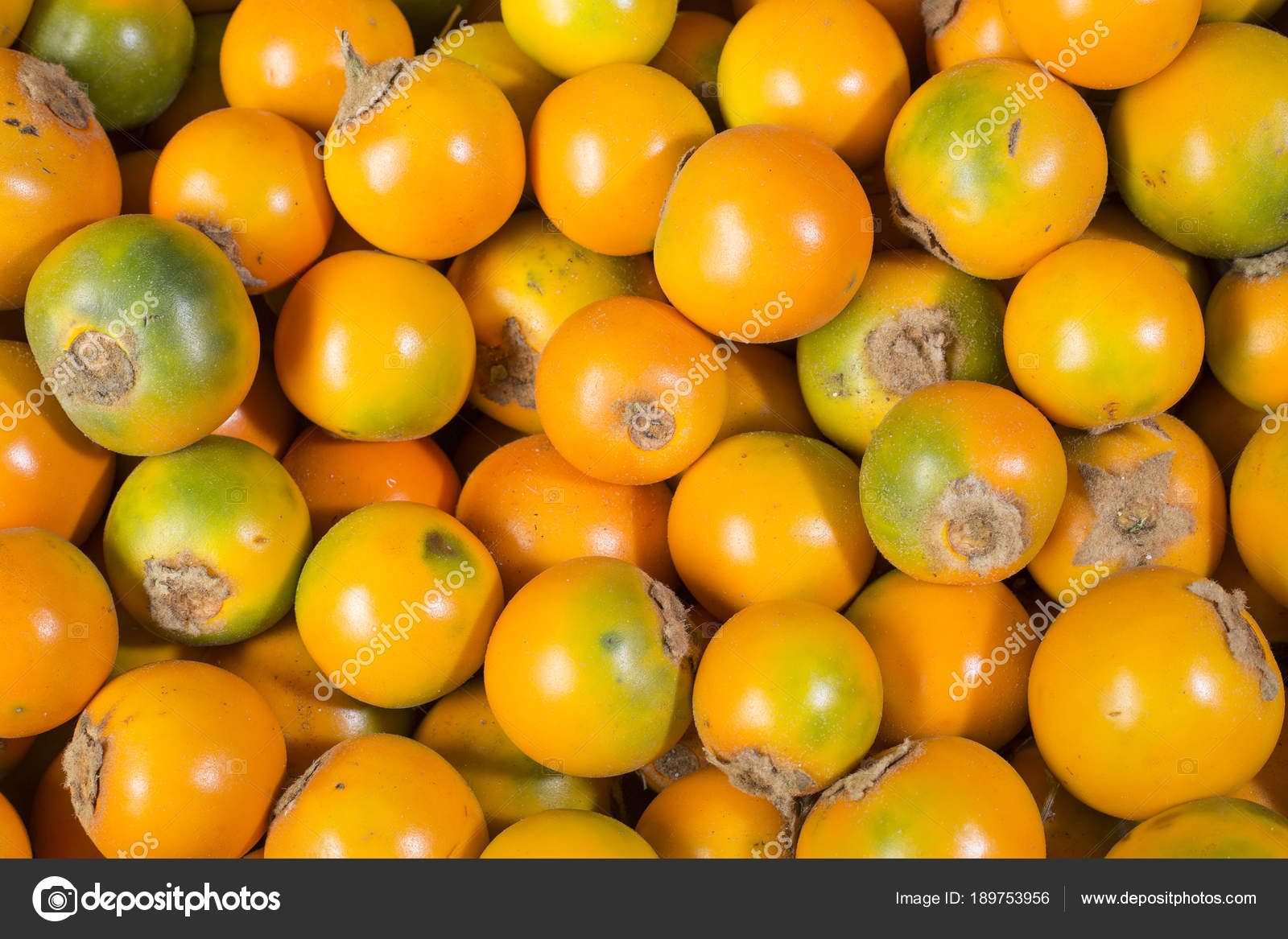 Fruta Tropical Lulo Solanum Quitoense — Foto de stock #189753956 ...