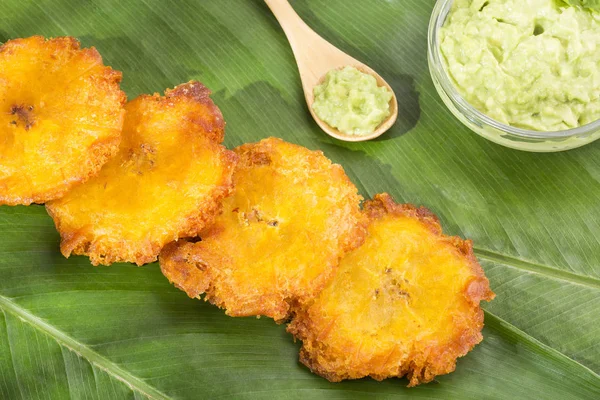 Fried Plantain Tostn Patacon Musa Paradisiaca — Stock Photo ...