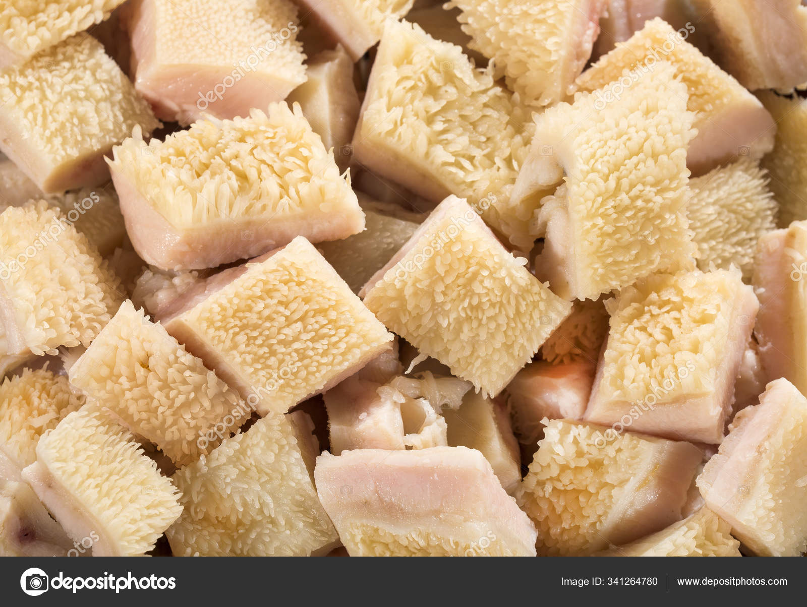 Honeycomb Tripe Menudo