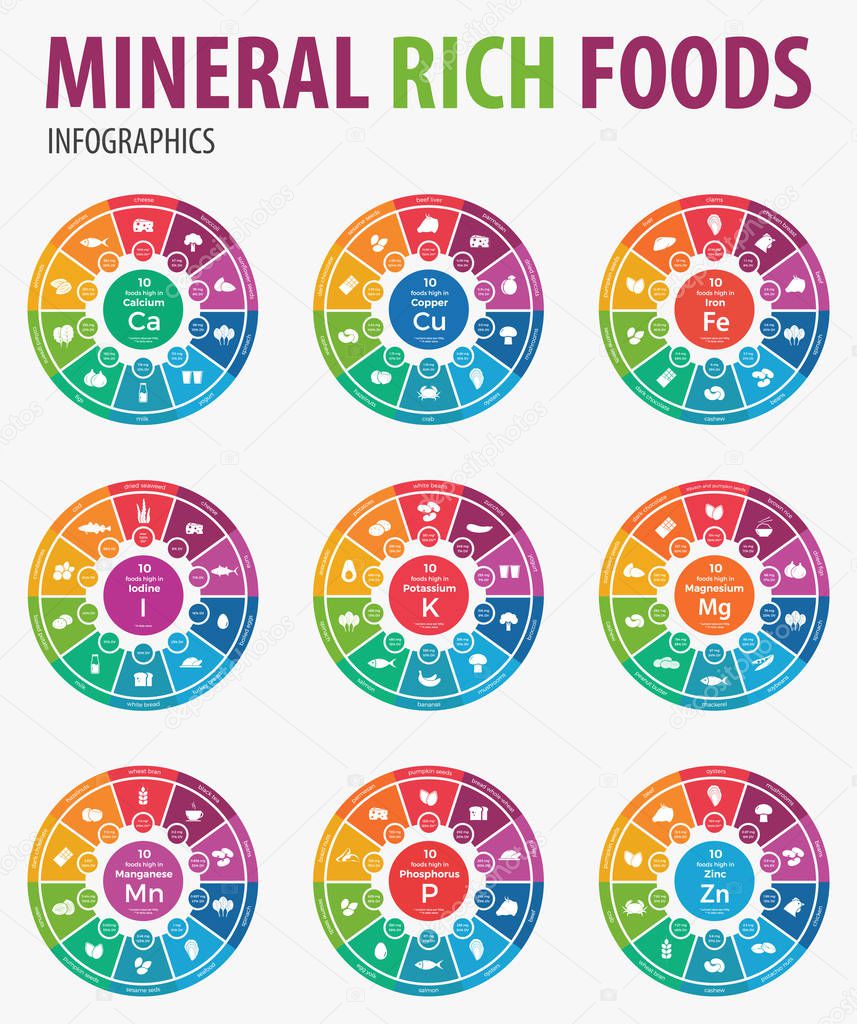 Infograf as de alimentos ricos en minerales. Ilustraci n vectorial. 2024