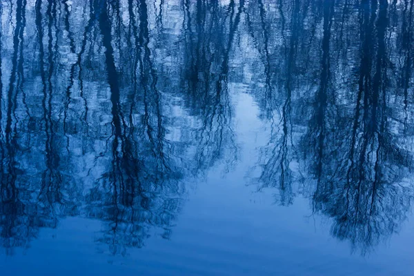 Reflet bleu images libres de droit, photos de Reflet bleu | Depositphotos