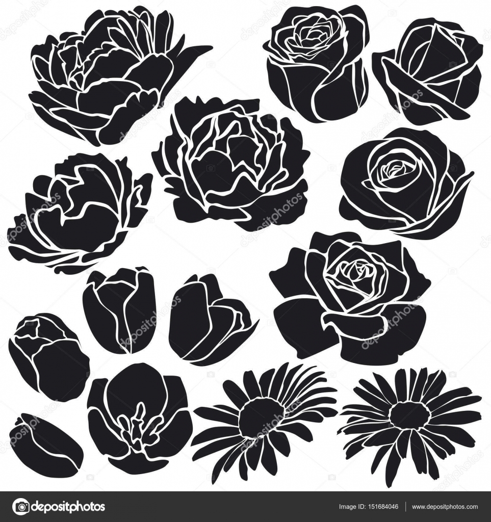 Set of Vectorized Flowers. — Stock Vector © Dorolka #151684046